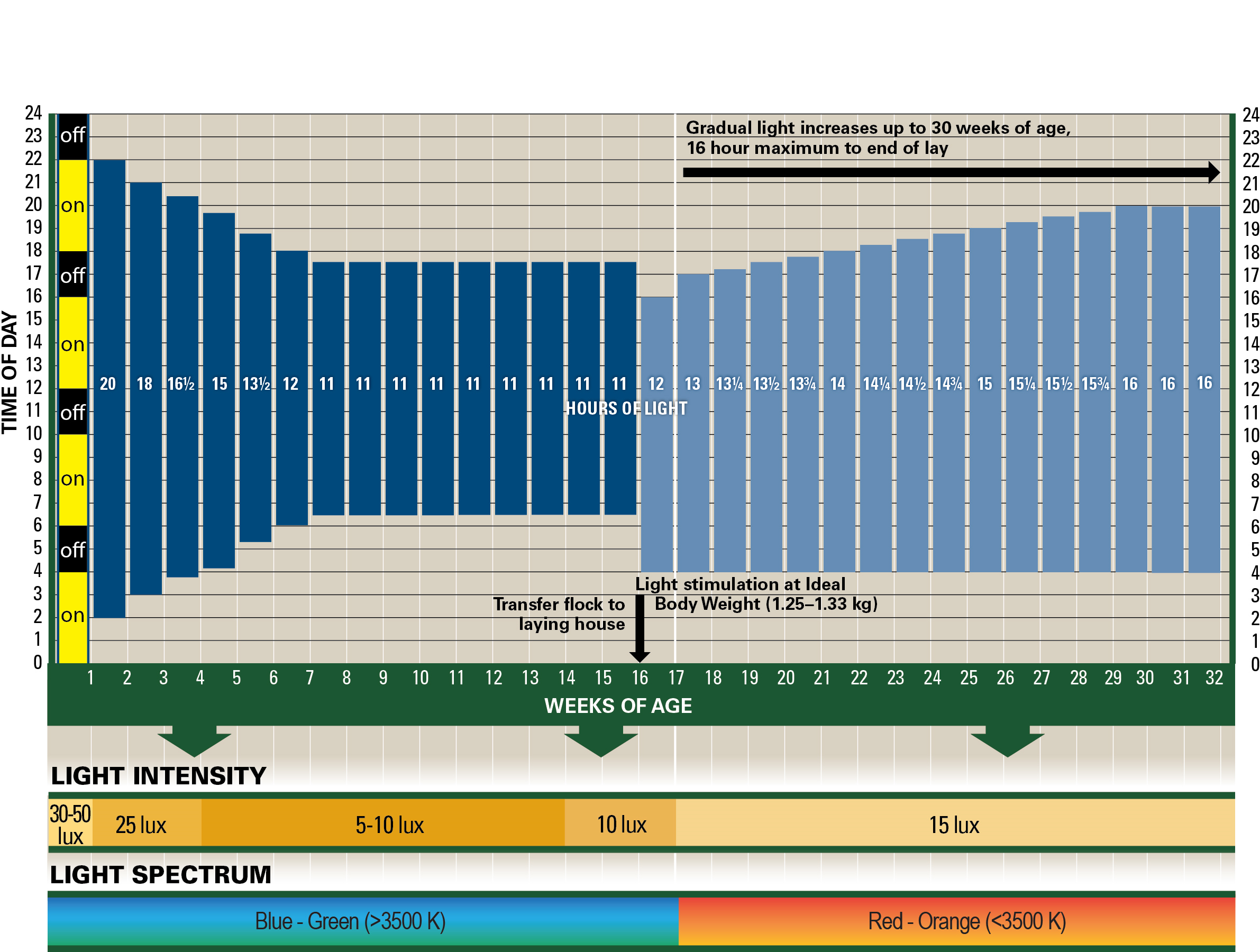 lighting program W80 10-9-23