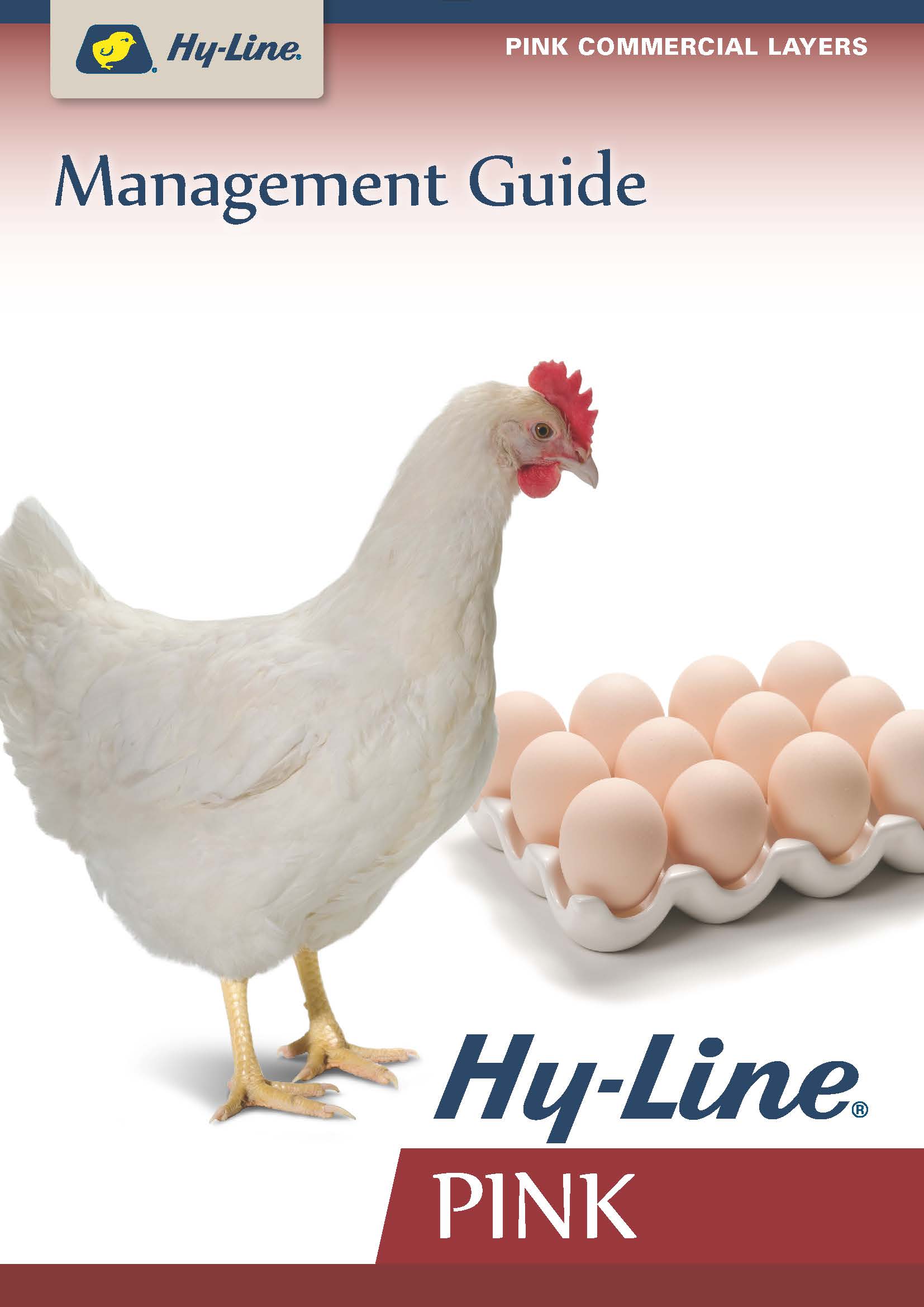 Hy-Line Pink: A Robust Tint Egg Layer