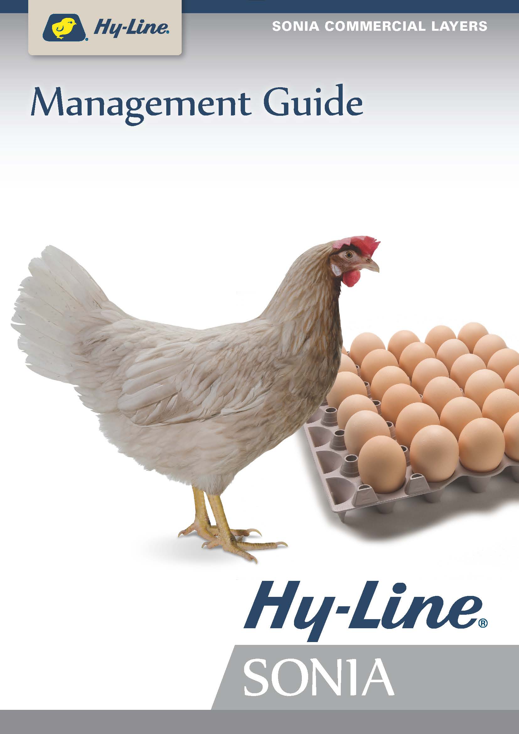 Hy-Line Sonia: The World's Leader in Tinted Egg Production