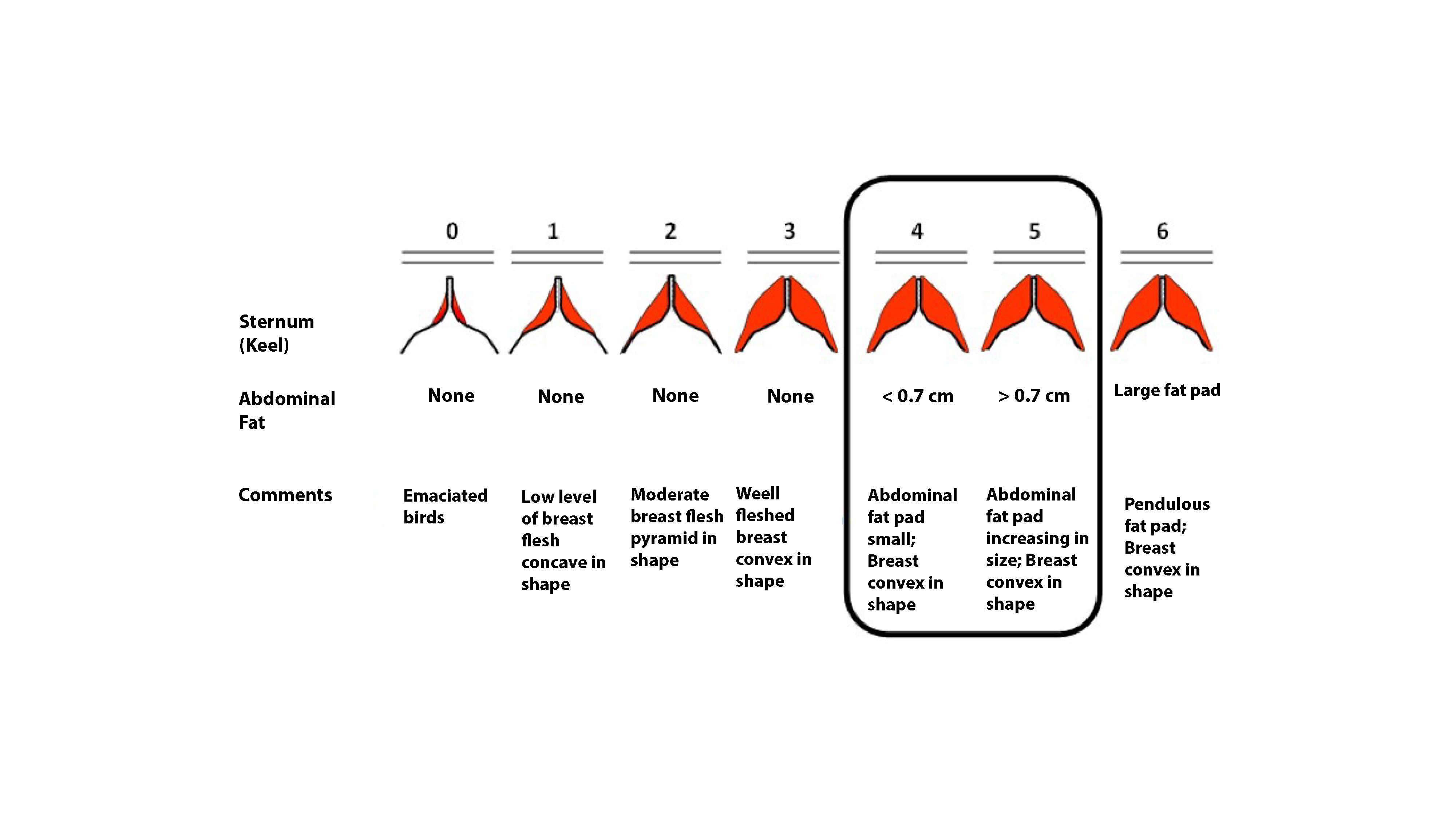 Liveability (Mortality)